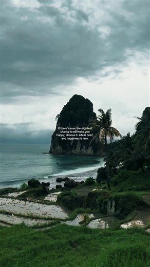 Embracing Happiness: Life's Risks Worth Taking