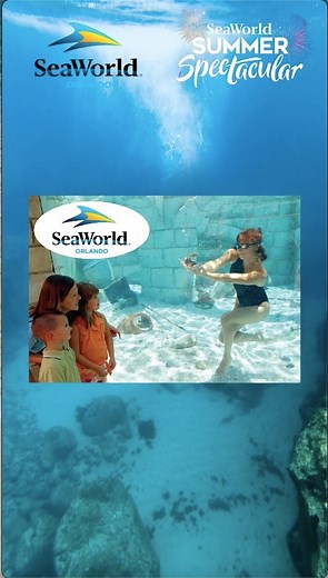 The crowd favorite pearl diving is back at SeaWorld Orlando during its Summer Spectacular which runs through September 4th! #PearlDiving #SeaWorldOrlando #SeaWorldNews #VisitOsceola | Positively Osceola