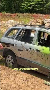 Shotguns & Derringers: Hidden and Point‑Blank Fear #wildwestguns #history #equestrianjourney