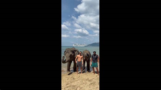 Cheeky elephant hits man's private parts with trunk in hilarious clip