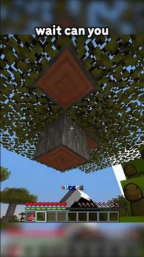 Minecraft, But It's Cursed...