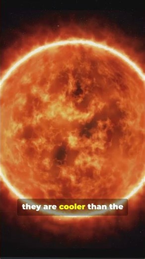 Sunspots in 3 Minutes: The Real Reason They Form