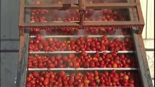 Automatic Custom Tomato Sauce Production Line Processing Tomato Paste Making Machine