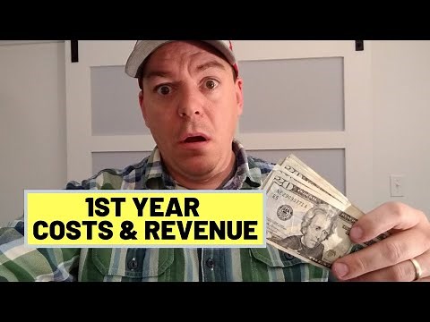 #95 Christmas Tree Farm FIRST YEAR Costs & Revenue