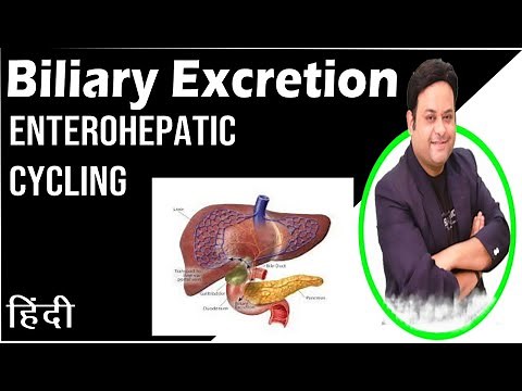biliary excretion enterohepatic cycling