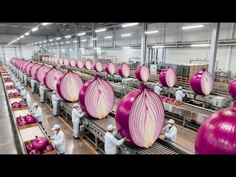 Inside a Massive Onion Powder Factory | From Raw Onions to Fine Powder (Full Process)