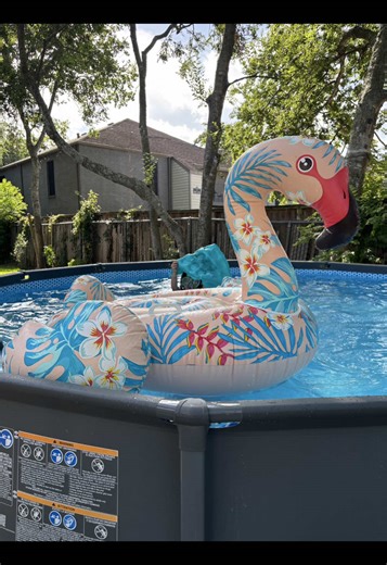 Effortless Pool Maintenance Tips for Your Backyard Oasis