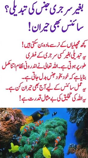 Natural Gender Change in Fish#CreationOfAllah#NatureMiracle#SignsOfAllah#SubhanAllah#FaithAndscience