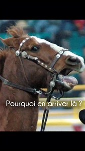 128K views · 15K reactions | Andy Booth on Reels | Facebook