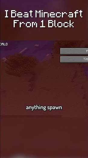 Part 2. I Beat Minecraft From 1 Block