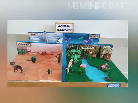 Animal Habitats Science Project