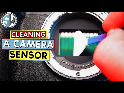 Cleaning my EOS R before our next project!