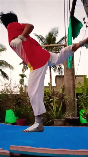 back thrust kick #taekwondo #kickintaekwondo #taekwondomoves