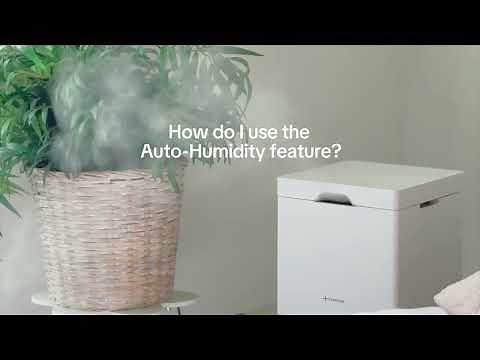 Carepod Cube Plus | How do I use the Auto-Humidity feature?