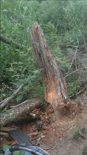 Beta 300RR vs X-Trainer