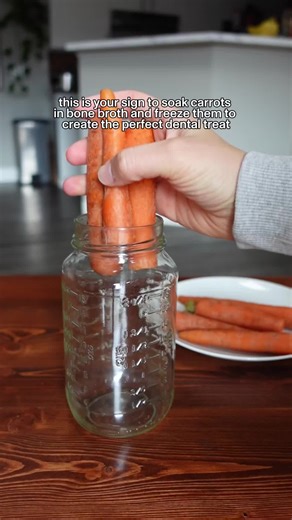 Enhance Your Dog's Dental Routine with Easy Treats