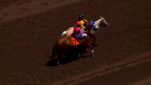 The All American Derby (G1) is set for Labor Day at The Downs at Albuquerque, so let's start meeting the field for the $1,077,461 race at 440 yards. In this video, Tom Dawson profiles AJs Flashnthachicks. You can view profiles of all the qualifiers at https://aqha.com/all-american. | Q-Racing