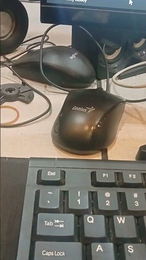 How to Use 2 Computer Mice on One PC | Dual Mouse Setup Tutorial