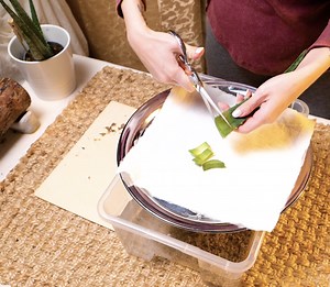 29K views · 78 reactions | How to craft kitchen paper using only natural resources | 5-Minute Crafts Like | Facebook