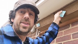 5.9K views · 52 reactions | Lockdown Wildlife Diary, day 43. Swift a very, very exciting bird indeed.  | Get Wild | Facebook