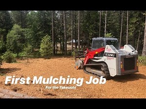 Forestry Mulching with a Skid Steer! TAKEUCHI TL12R2 W/ FAE MULCHER HEAD