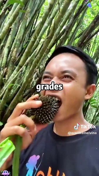 Warlike Melvina on TikTok