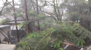 File:Wiki In Africa Swantata 3.webm - Wikimedia Commons