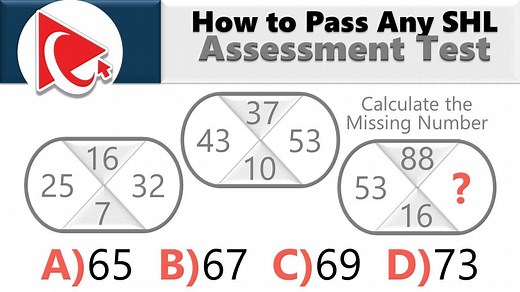 How to Pass Any SHL Assessment: Comprehensive Guide For you To Succeed! Pass 100% with All Inclusive PrepPack - Practice Assessment Tests