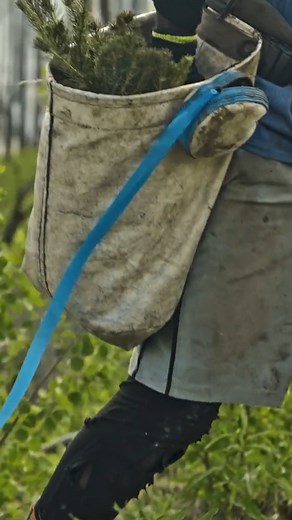 130 reactions · 24 shares | Forest Fires are growing in intensity...