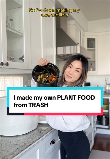 Effective Kitchen Composting Tips for Houseplants