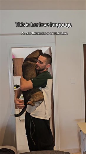 She literally climbs on you like she is 3 Kilos 🥹 #fyp #tylathedog #dog