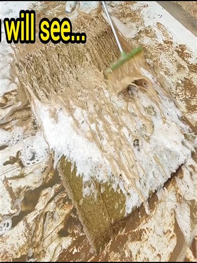 Keo Dara on Instagram: "Carpet Cleaning Like a Pro | Satisfying Rug Stain Removal Tutorial"