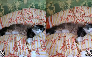 本是同根生，相煎何太急 三星s9 对比note9