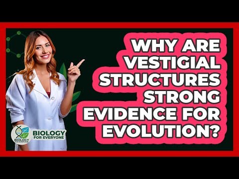 Why Are Vestigial Structures Strong Evidence For Evolution? - Biology For Everyone