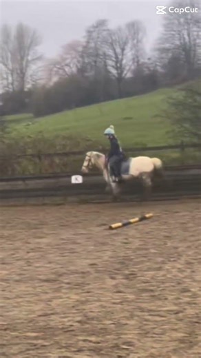 Tried a half seat! It was level 4 work! (I may be levelling up soon!) #horse#horsey#horseback#idk