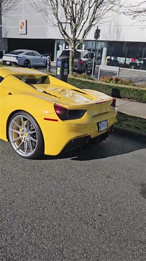 Don't Justify, Just Drive the Magic of a Yellow Ferrari,