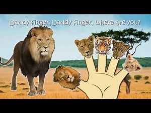 Animals 30 min Collections Finger Family / Nursery Rhymes