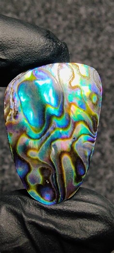 Natural Abalone Shell Cabochon Rainbow Paua Shell Gemstone Loose Stone Jewelry Making Supplies Gift - Etsy