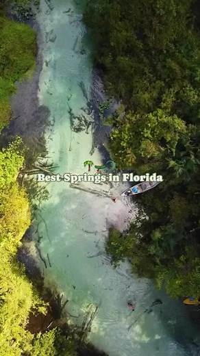 #Repost @unationapp with @use.repost ・・・ 💦TAKE A DIP!💦 Tap our 🔗 in bio to start exploring the best natural springs across Florida! 🏖️ There are so many gorgeous spots to explore in the Sunshine State - and our natural springs make up a big portion of that list! 🤩☀️ From kayaking through gorgeous aqua waters to observing adorable wildlife, there is so much to see and do! 🛶🌊 Tag your adventure buddy below 👇 and start planning your Florida Spring road trip now! #floridasprings #bestsprings