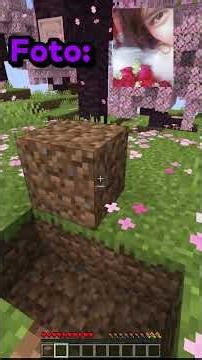 Minecraft but I CAN'T TOUCH the COLORS of your PHOTO 134 #shorts #minecraftshorts