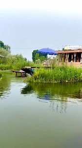 92K views · 1.5K reactions | Roz aati ho tumm with beautiful view of Dal Lake Kashmir #oldsongs #explore | Beautiful Pahadi Videos | Facebook