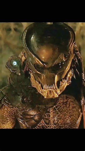 Predator: Removes the mask and head of another predator to leave as a trophy 👽 #shorts #movie #film