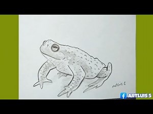 How to draw a TOAD
