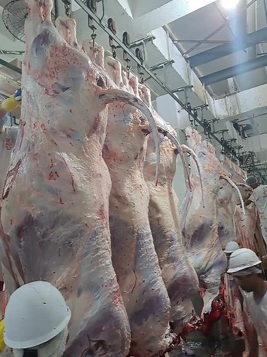 Os vídeos de ancelmocarnes (@antonioancelmosan) com Obrigado Meu Deus - Marcos paulo