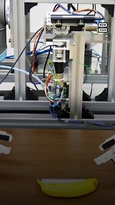 Researchers at the University of Tokyo have developed a 'two-armed' robot that can successfully peel a banana without squashing it. The robot reportedly learns through a 'deep imitation learning' process where its developers repeatedly demonstrated the peeling action hundreds of times in order for the robot to copy it. Though still in its testing phase, researchers believe the robot could be used to repeat simple tasks in areas like factories or the food service industry. | NowThis