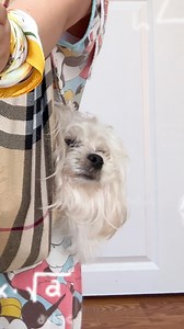 462K views · 23K reactions | Badjao trend bloopers  #viralreelsfb #fyp #fypシ゚viral | Snow and Storm | Facebook