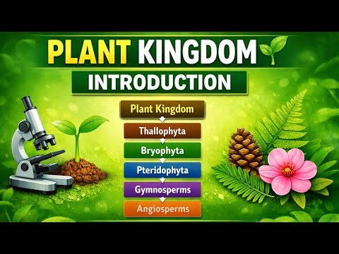 Plant Kingdom Intro in 10 Minutes 🌿 | NCERT Biology | APEX BIOLOGY