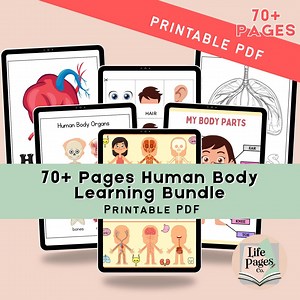 Human Body Learning Bundle | 90  Pages Printable PDF A4 | Anatomy Busy Book, Body Systems & Parts | Kids Educational Worksheets | Key Stage - Etsy