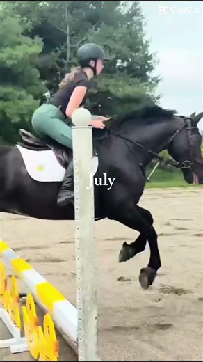 One jump for every month of the year!! #eventing #seamus #recap #glowup