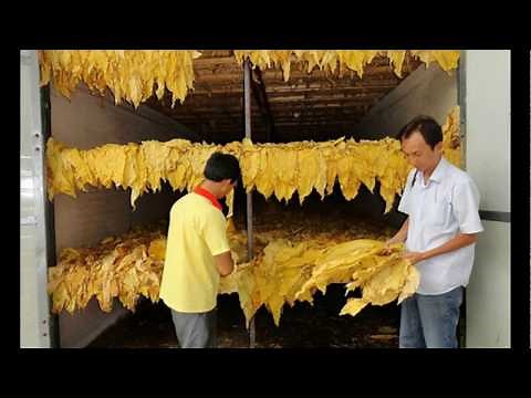 The Fresh Tobacco Leaf Dryer Machine